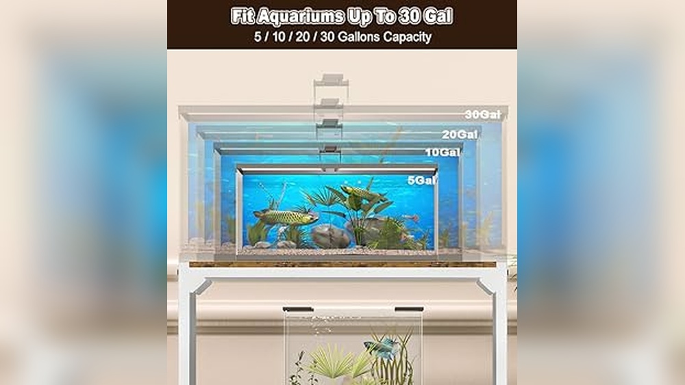 30 Gallon Fish Tank - Smart Pets Lover