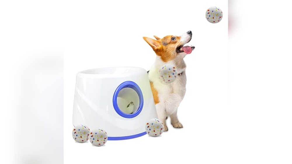 Best Automatic Fetch Toy for Dogs: Top Interactive Ball Launchers ...