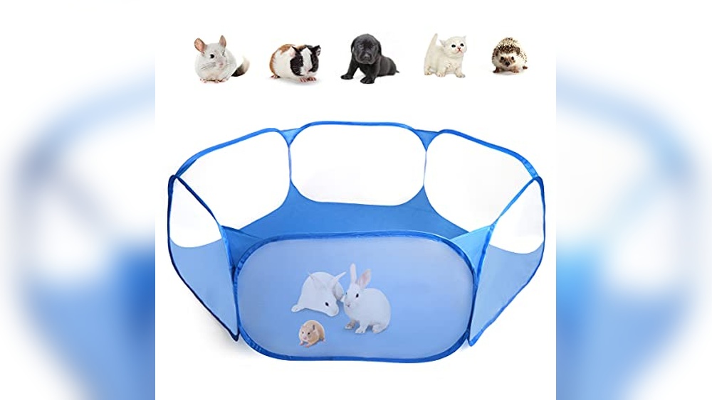 Best Bonding Pen for Introducing Rabbits: Top Safe Playpens Reviewed ...