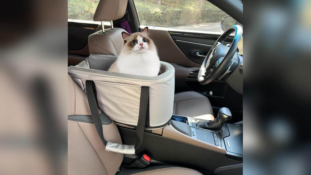 Best Car Seat for Cats: Ultimate Comfort and Safety Guide - Smart Pets ...