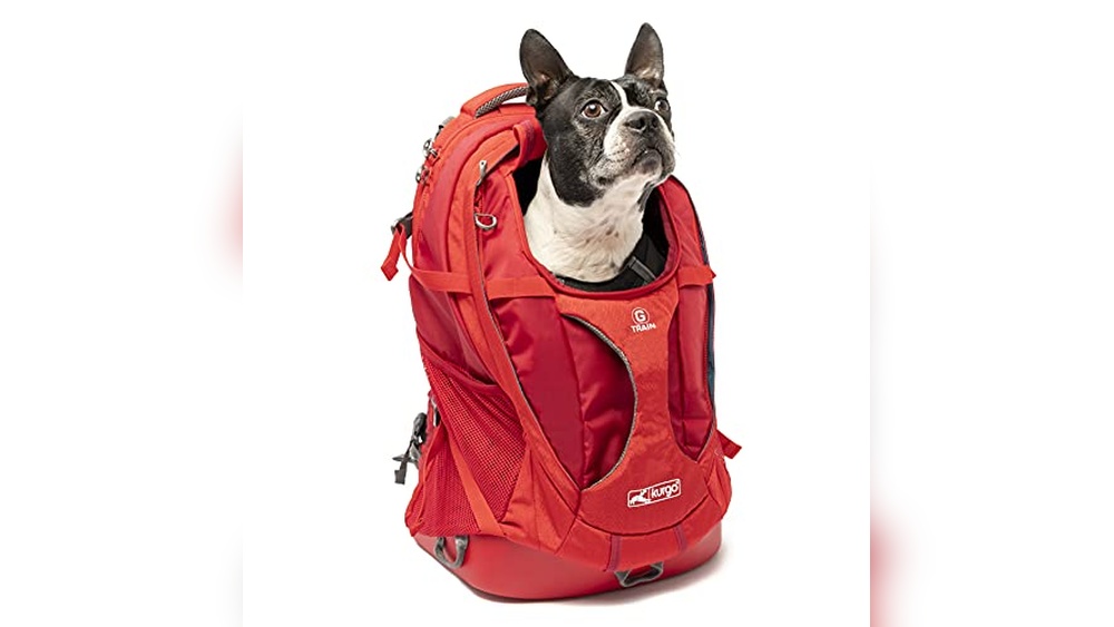 Best Dog Carrier Backpack for Hiking: Top Comfortable and Durable Picks ...