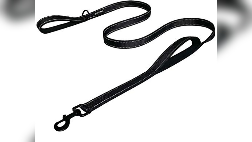 Best Dog Training Leash for Medium to Large Dogs with Extra Control ...