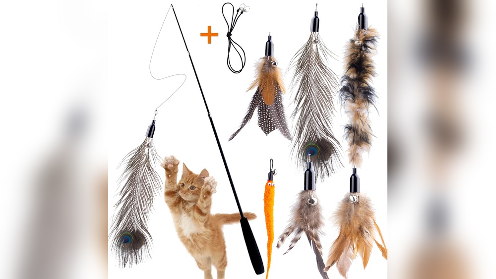 Best Feather Wand Toy for Cats: Top Picks for Endless Fun - Smart Pets ...