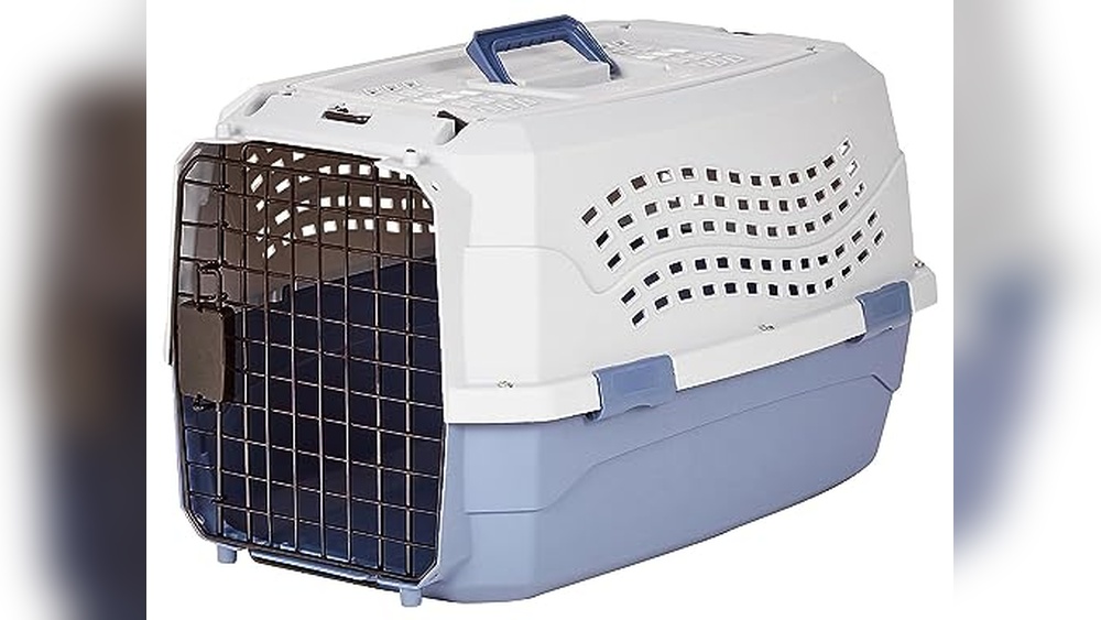 Best Hard-Sided Carrier for Rabbits: Top Durable Travel Solutions ...