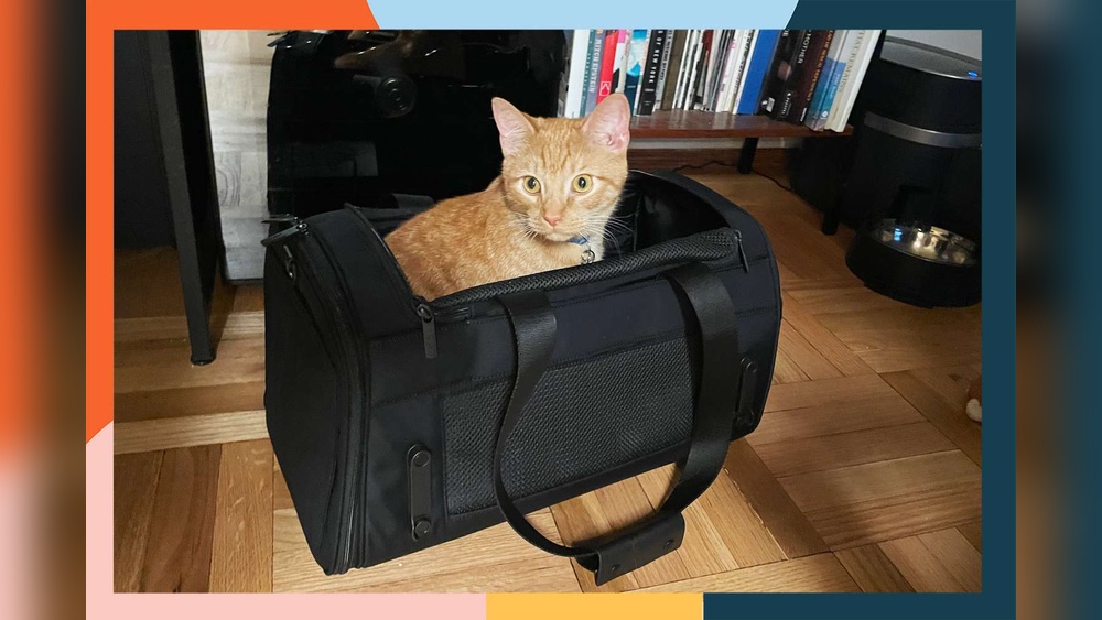 Best Hard-Sided Cat Carrier: Top Durable & Stylish Picks - Smart Pets Lover