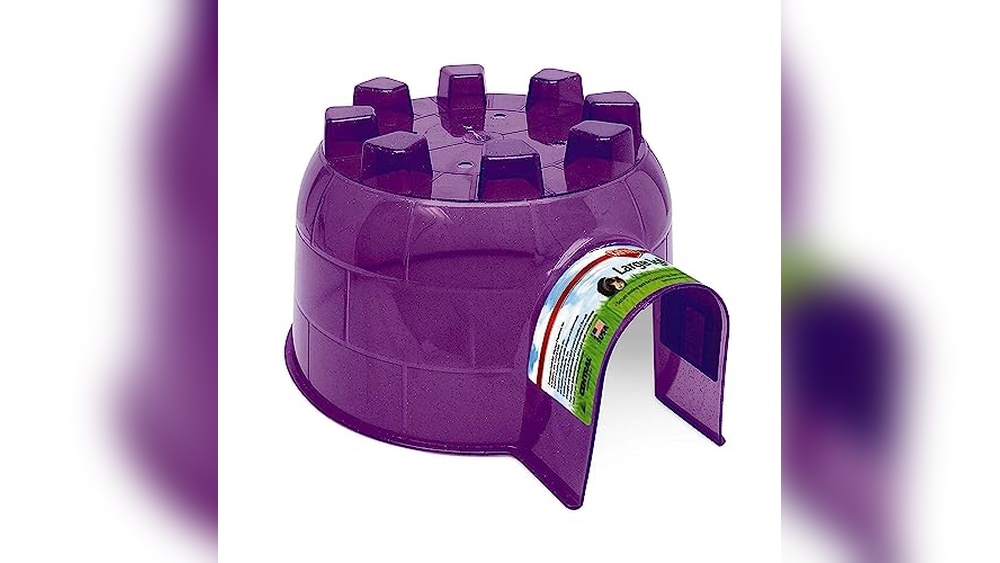 Best Hedgehog Igloo Hide: Top Cozy Hideouts for Small Pets - Smart Pets ...