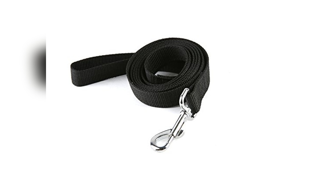 Best Leash for Indoor Training: Durable, Lightweight, and Reliable ...