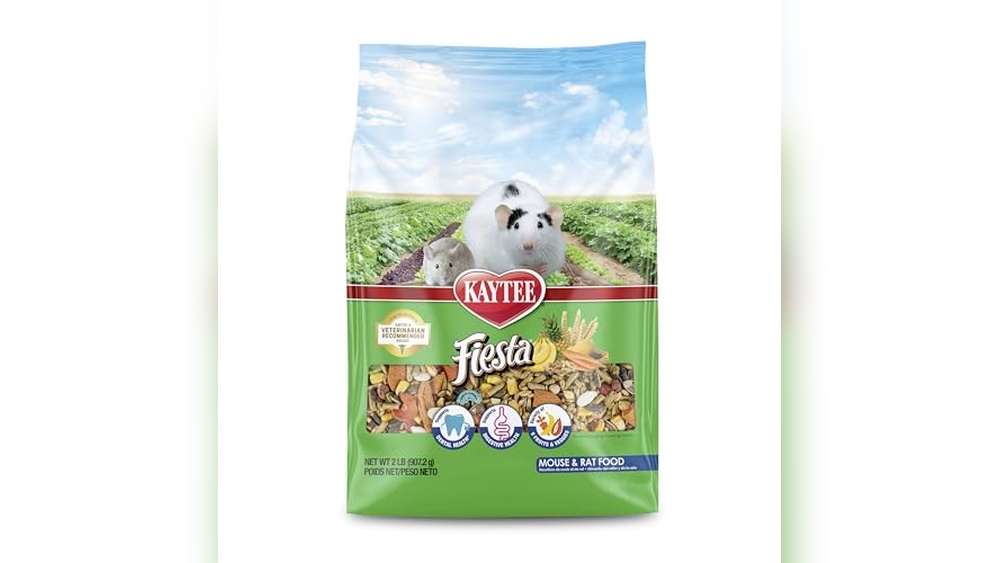 Best Mouse Food Mix (Varied) for Healthy, Happy Pets - Smart Pets Lover