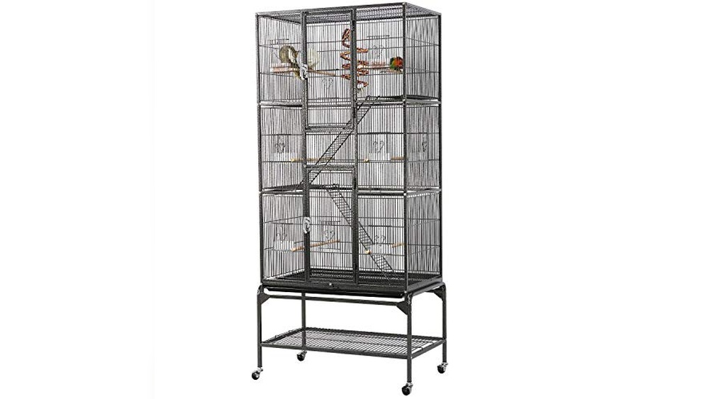 Best Parrotlet Cage (Bar Spacing) for Safe and Comfortable Birds ...