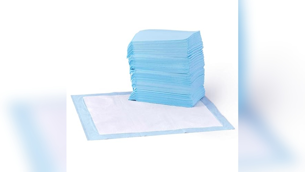 Best Pee Pads for Floor Time: Top Absorbent and Leak-Proof Choices ...