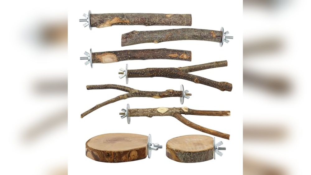 Best Perch Size for Budgies: Choosing Natural Wood Bird Perches Right ...