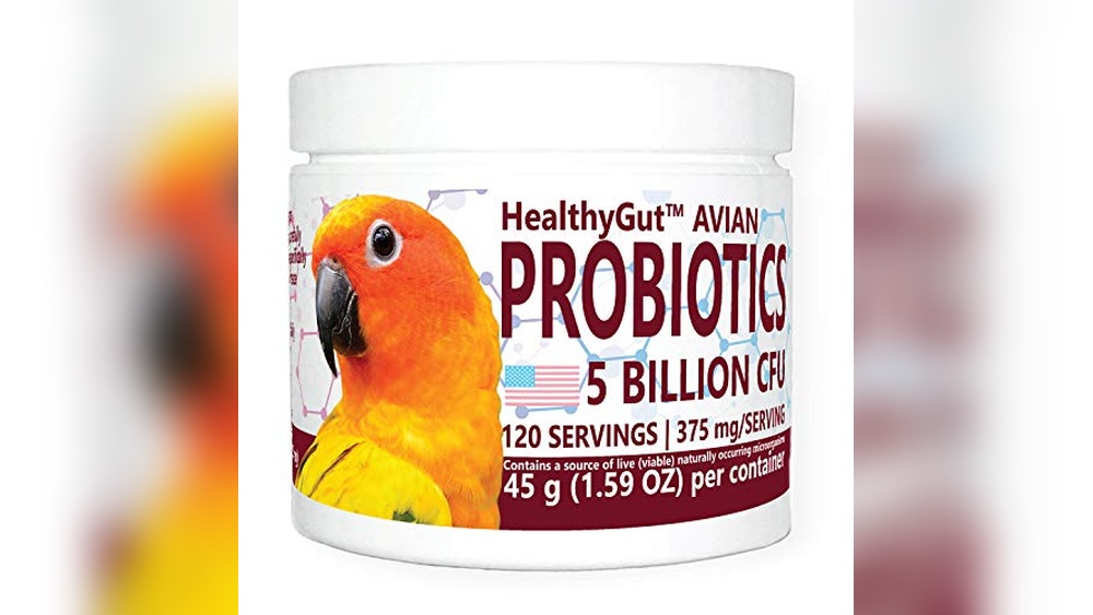 Best Probiotic for Birds (Gut Health) to Boost Digestive Balance ...