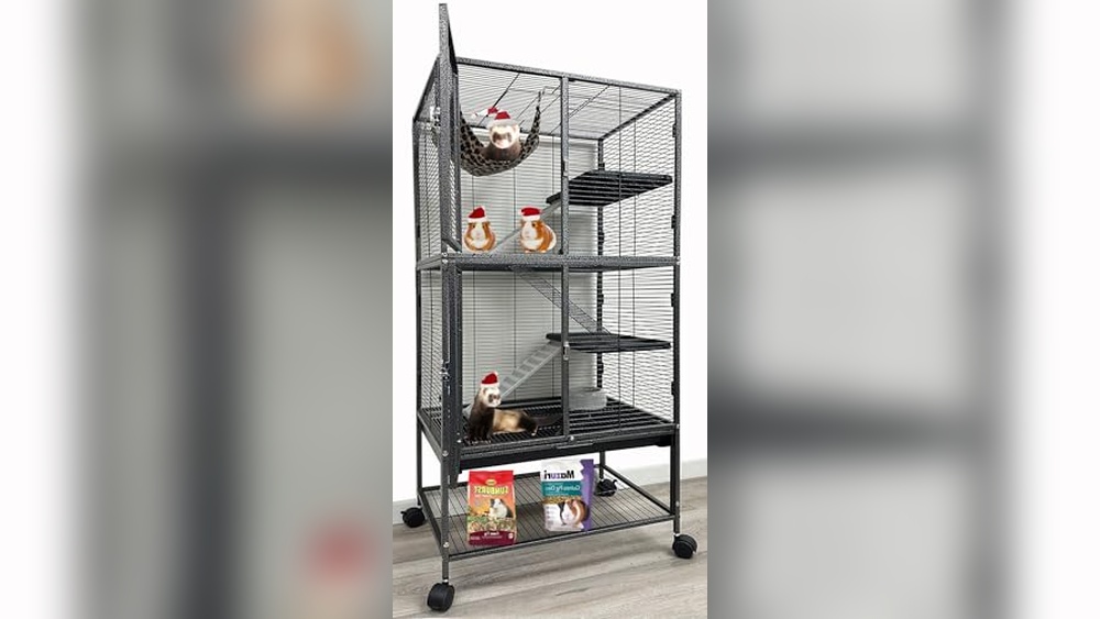 Best Rat Cage (Bar Spacing 1/2”) for Safe and Spacious Small Pets ...