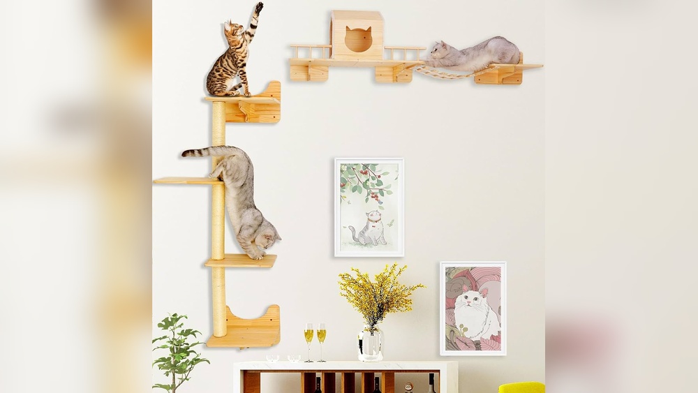 Best Wall-Mounted Cat Tree: Ultimate Guide to Stylish Cat Spaces ...