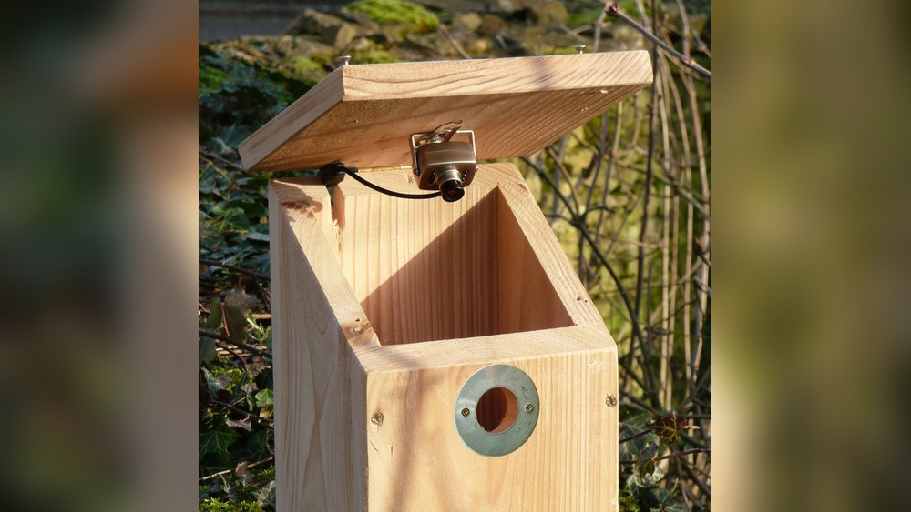 Bird Nesting Boxes With Cameras - Smart Pets Lover